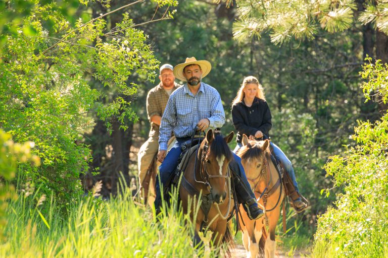 How to Spend 6 Days in Western Montana | The Official Western Montana ...