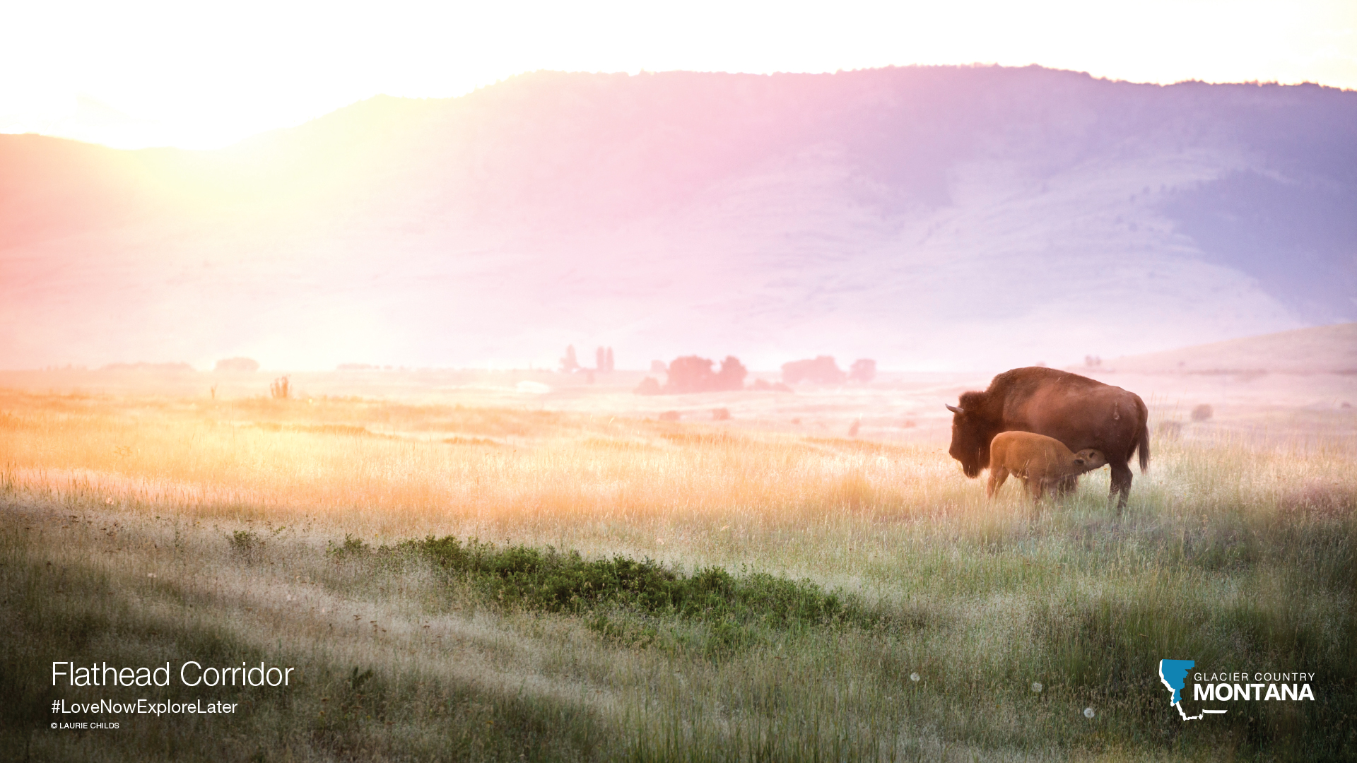 Western Wall Zoom Background at Ellen Rodriguez blog