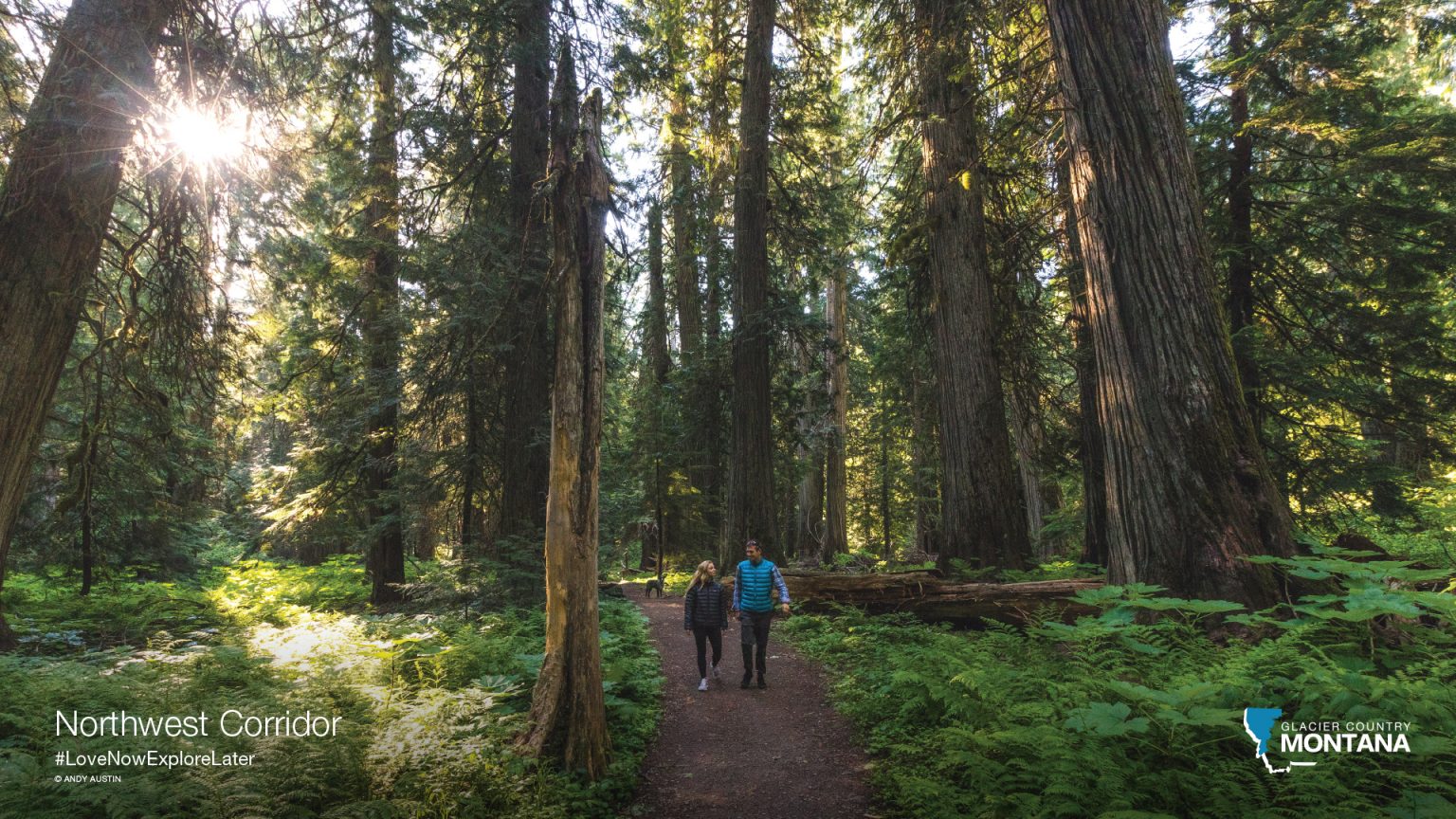 Make Western Montana Your Zoom Background | The Official Western ...