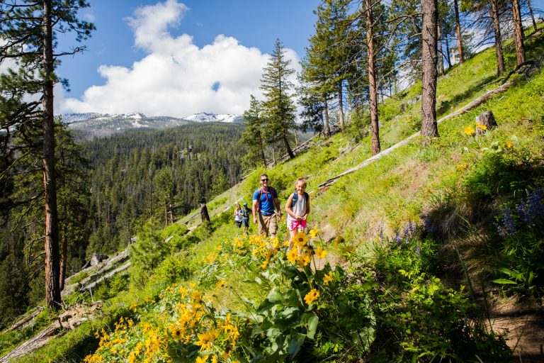 Wildflower Season in Western Montana | The Official Western Montana ...