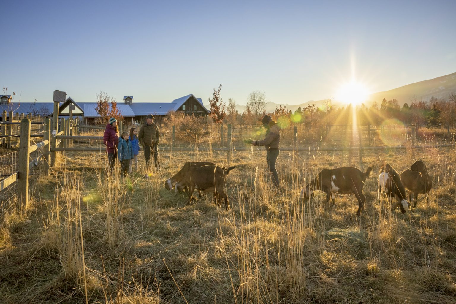 Agritourism and Farm Stays in Western Montana | The Official Western ...